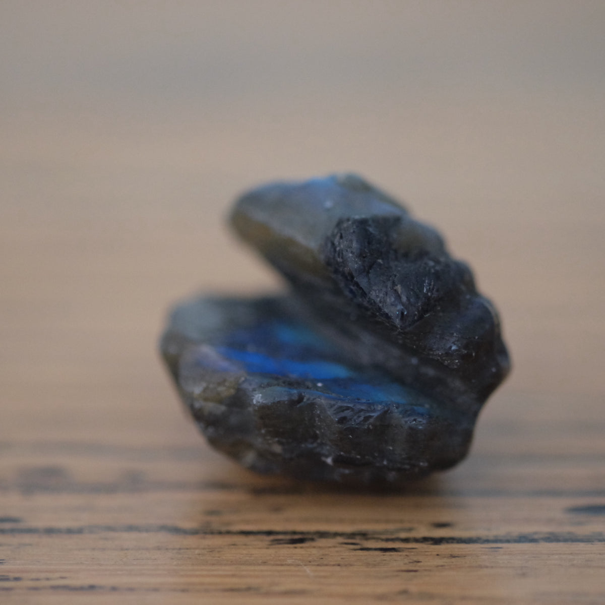 Labradorite Clam Shell – Words of Wisdom