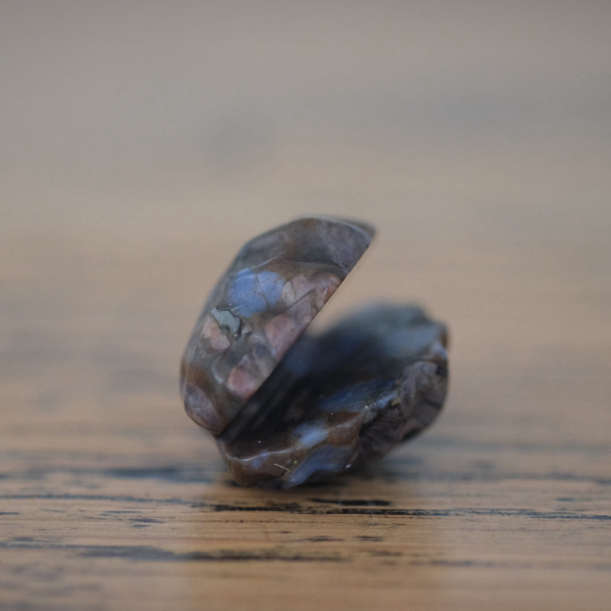 Llanite Clam Shell – Words of Wisdom
