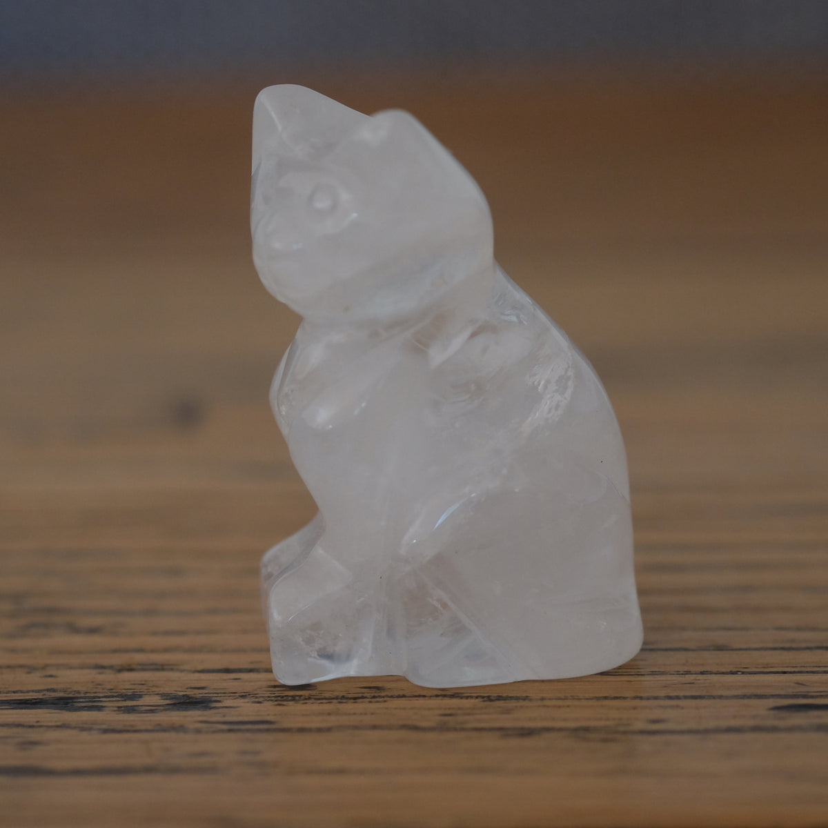Clear Quartz Cat – Words of Wisdom