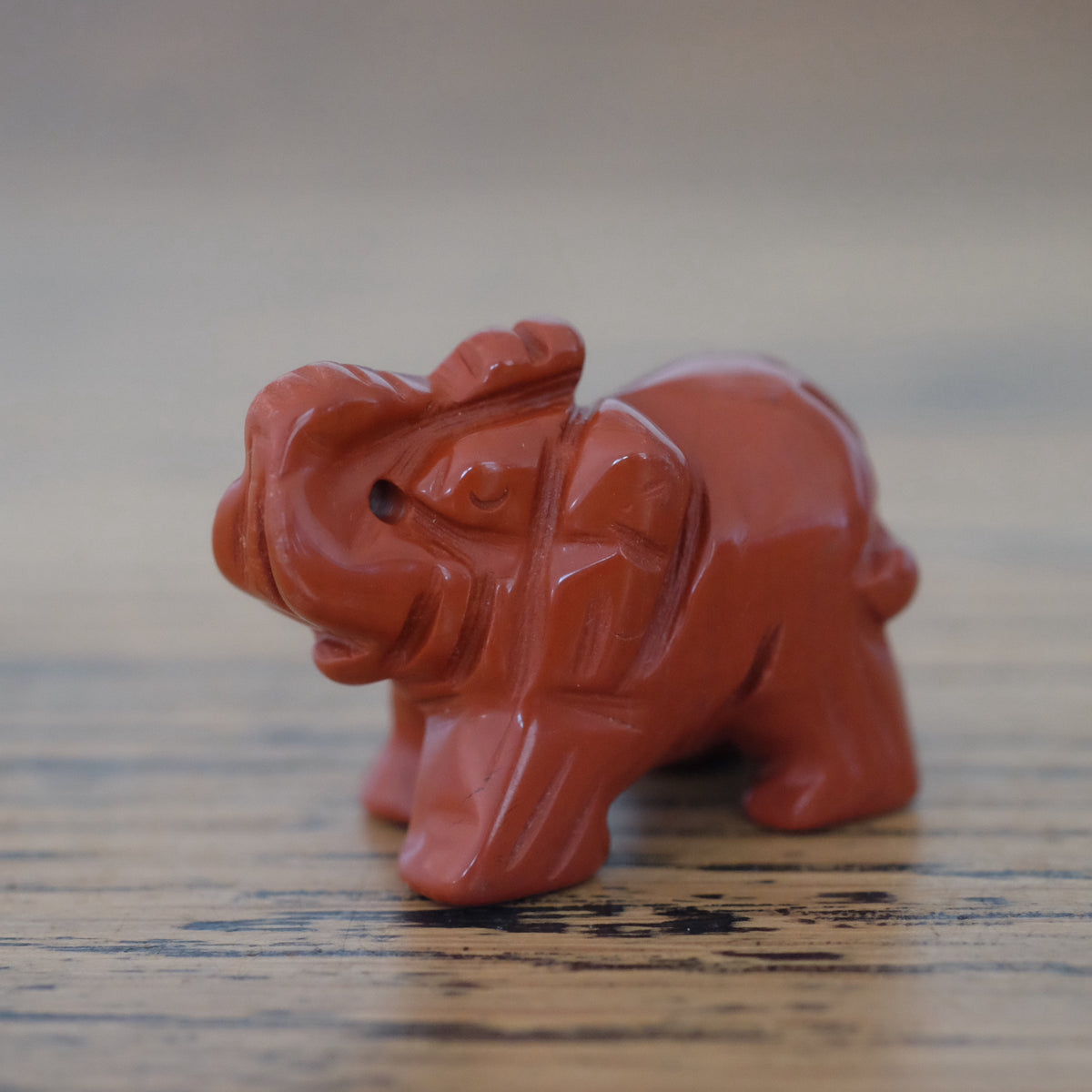 Red Jasper Elephant – Words of Wisdom