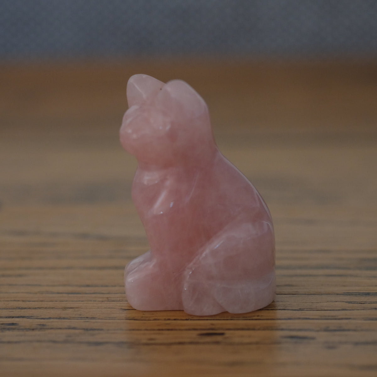 Rose Quartz Cat – Words of Wisdom