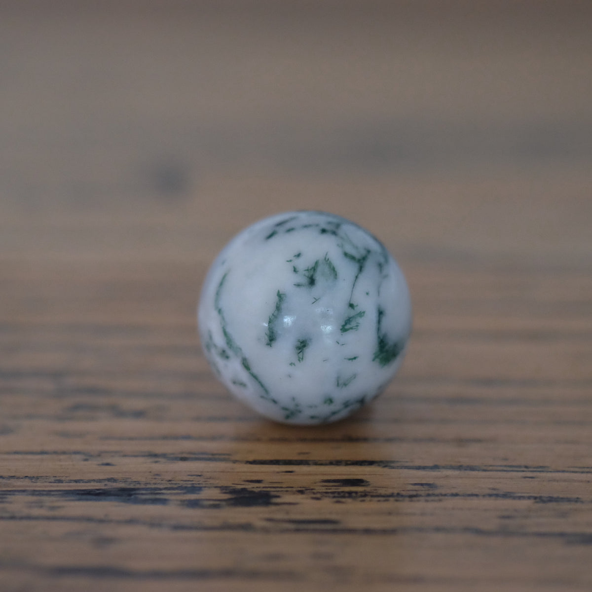 Tree Agate Sphere – Words of Wisdom